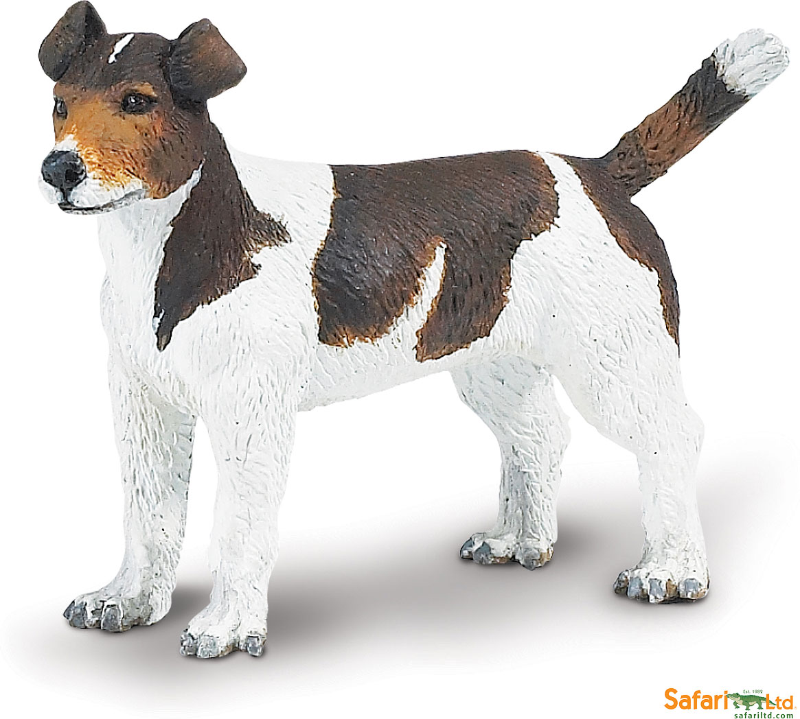 Safari Jack Russell Terrier – Ruckus & Glee