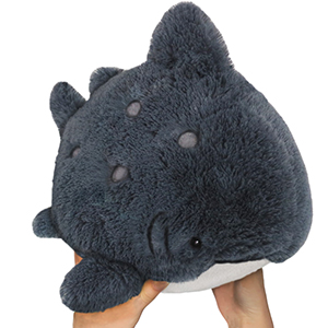 Squishable Whale Shark – Ruckus & Glee