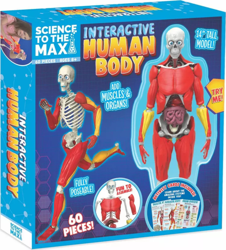 Science to the Max – Interactive Human Body – Ruckus & Glee